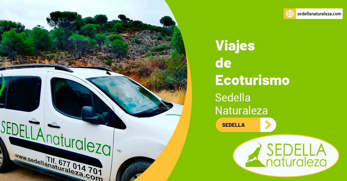 Sedella Naturaleza → Servicio de Viajes de Ecoturismo